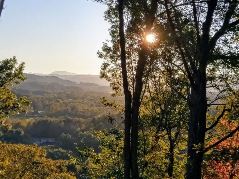 Treehouse Cabins in North Carolina (For every budget and taste)